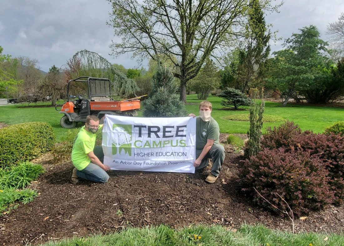 Penn College again accorded ‘Tree Campus’ designation | News, Sports ...